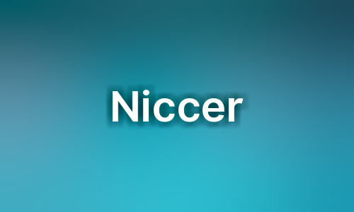 Niccer.com is for sale